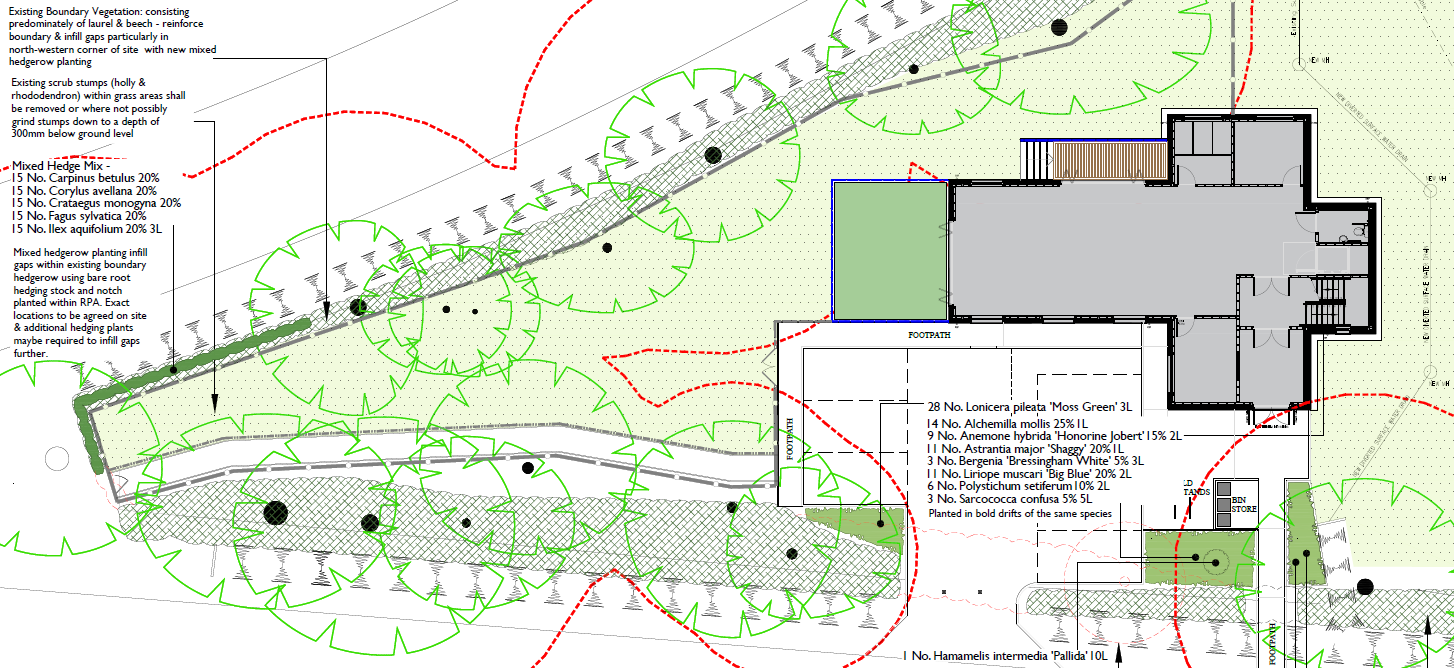 Site Layout + Landscaping